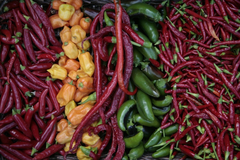 more #2 ASSORTED CHILI PEPPER SEEDS 25 varieties you choose hot mild ...