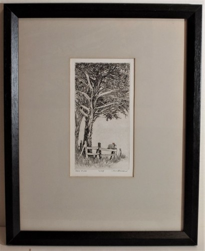 JUDITH ANDERSEN VINTAGE 1975 L.E (6/45) ETCHING | eBay