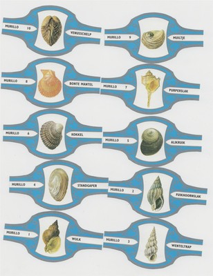 10 cigar bands Mur Beach Shells silver blue | eBay