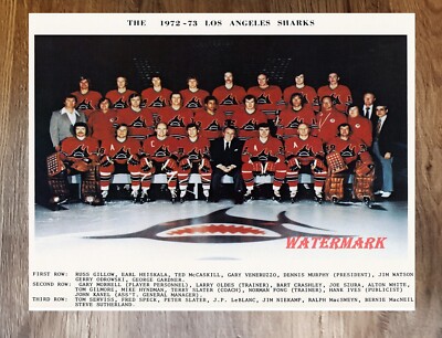 WHA 1972 - 73 Los Angeles Sharks 1st Season Color Team Picture 8 X 10 ...
