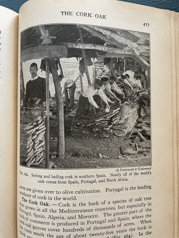 Industrial Geography textbook 1929 by Ray Hughes Whitbeck Vintage ...