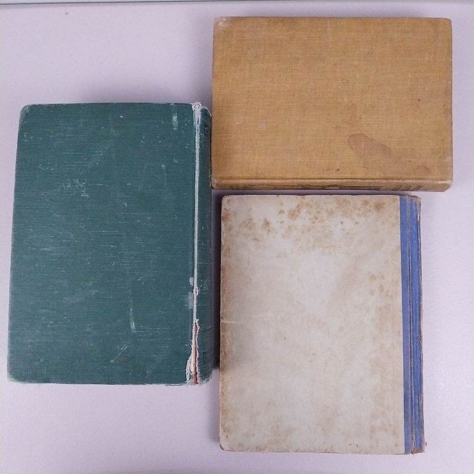 11 Vintage Antique 1800's - 1900's Hardcover Books for Decor & Staging ...