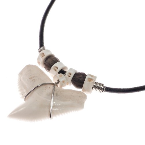 Big Genuine Tiger Shark Tooth Teeth 18" Black Leather Necklace, 1" | eBay