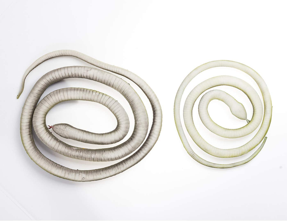 3 Pieces Large Realistic Rubber Snakes, Halloween Scary Toy Fake Black ...