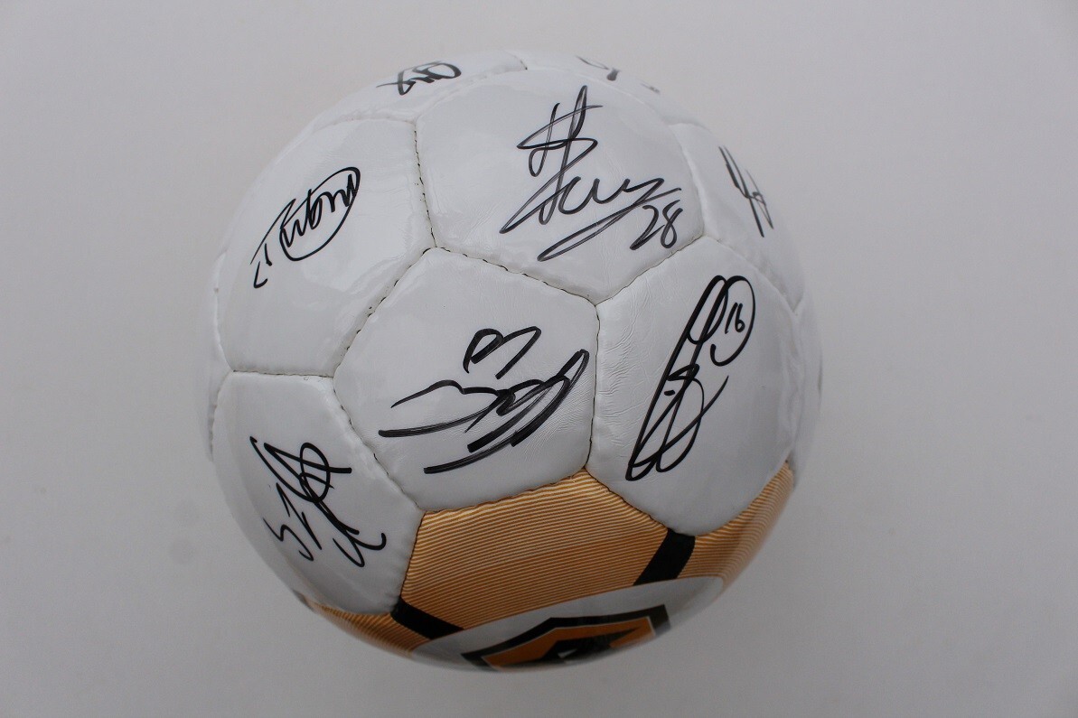 2019-20 Official Wolves Football Squad | Grelly UK