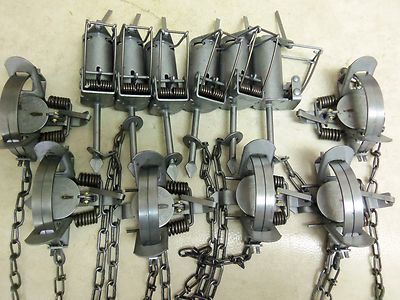 Duke Raccoon Trapping Pkg. 6-Dog Proof & 6-1 1/2 Coil Spring Traps ...