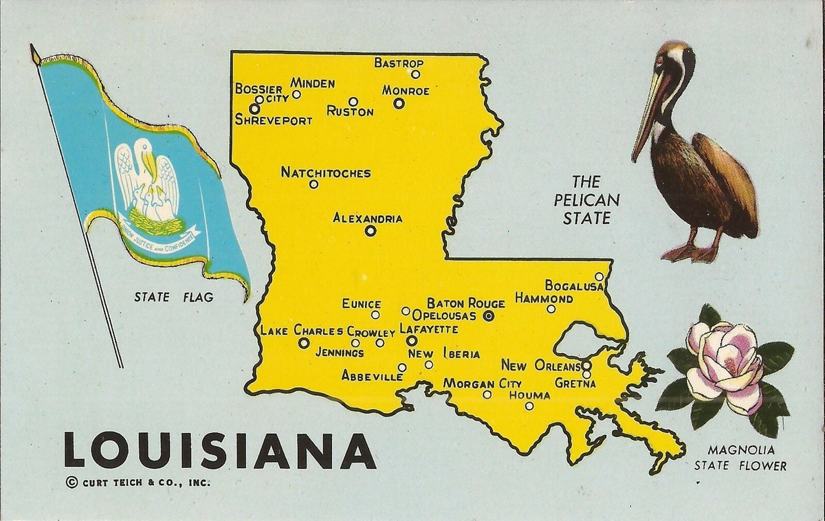Louisiana State Flower And Bird