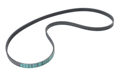 Genuine OEM Serpentine Belt For BMW 11287628651 | eBay