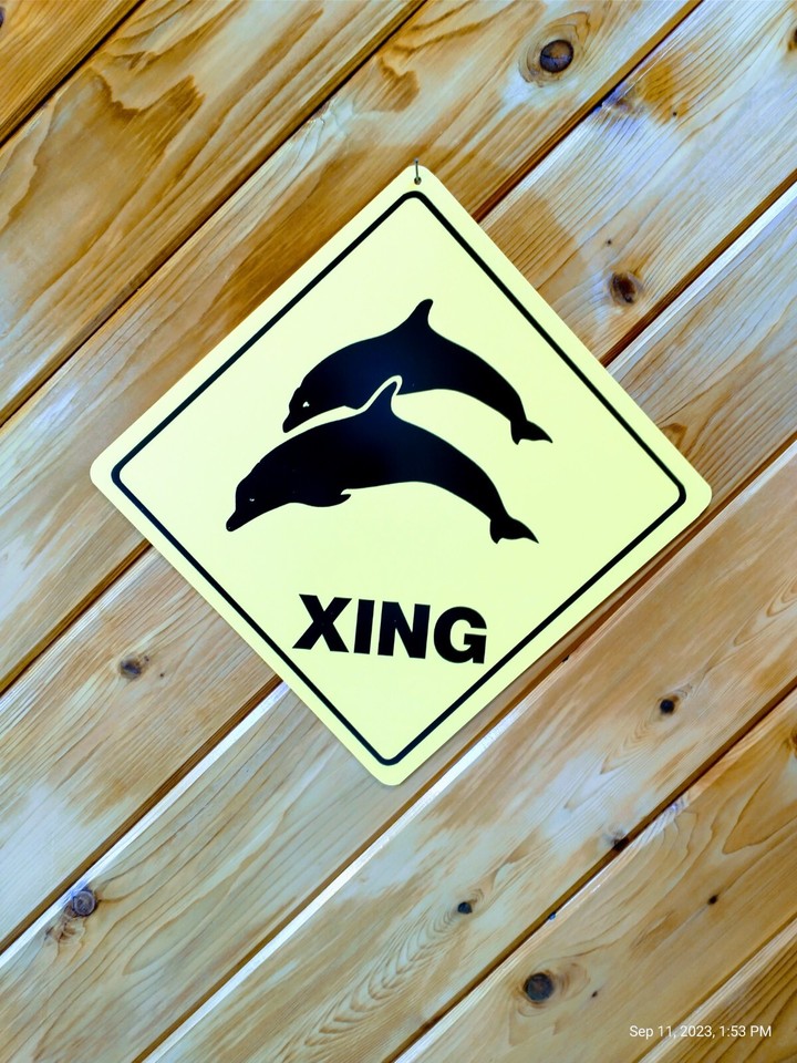 LANDSCAPING STREET CROSSING SIGN DOLPHIN SILHOUETTE XING 16" Point to ...