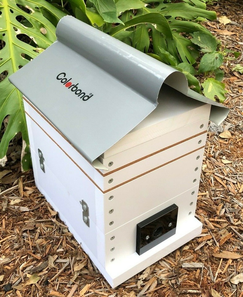 Stingless Native Bee Hive Honey Frame Design With Roof | Composite OATH ...