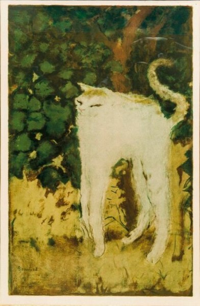The White Cat Pierre Bonnard Circa 1894 Archival Quality Art Print for ...