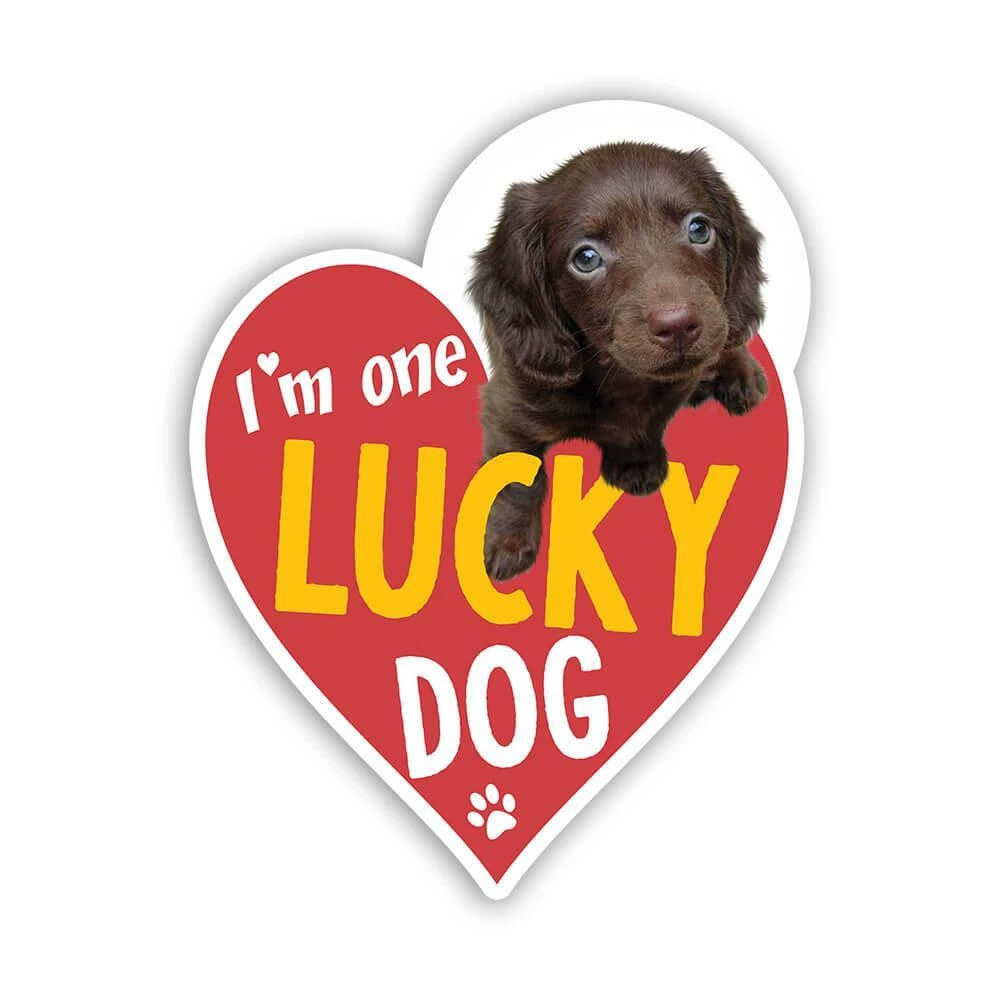 Funny Dog I Love You Pictures