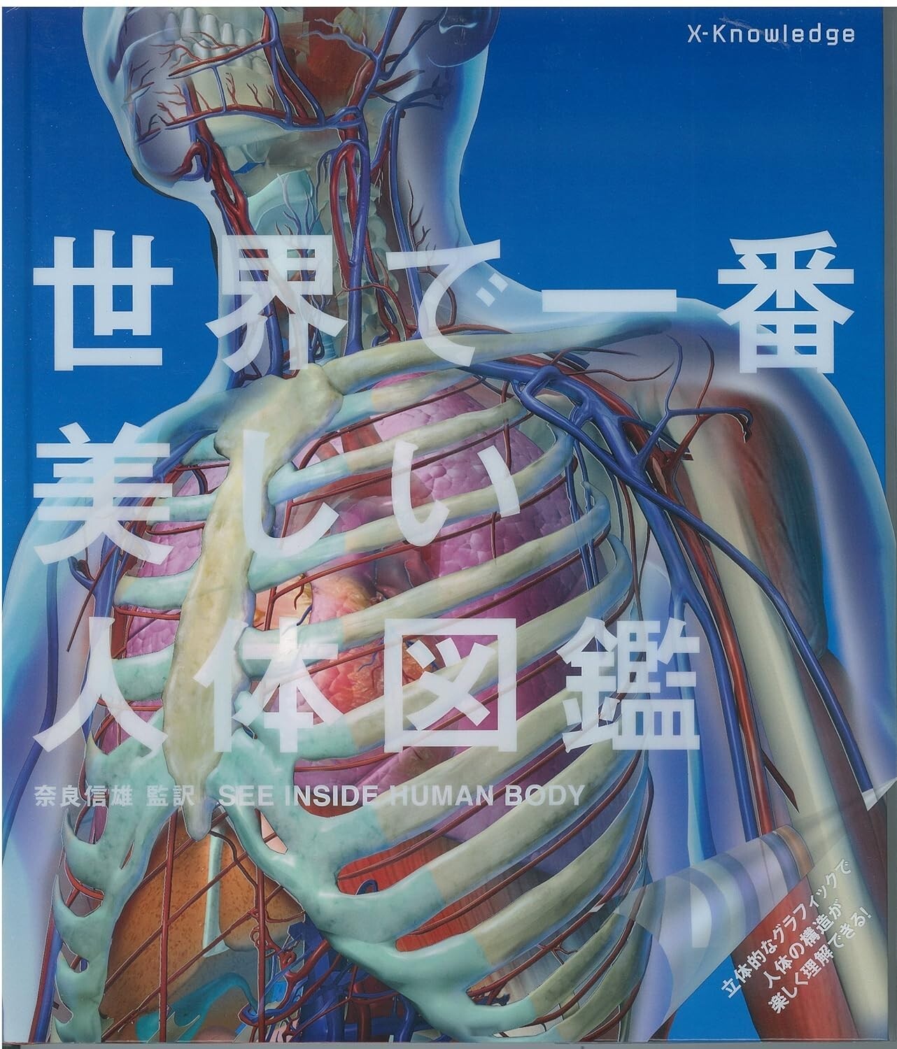 The World Most Beautiful See Inside Human Body Picture Book from Japan ...