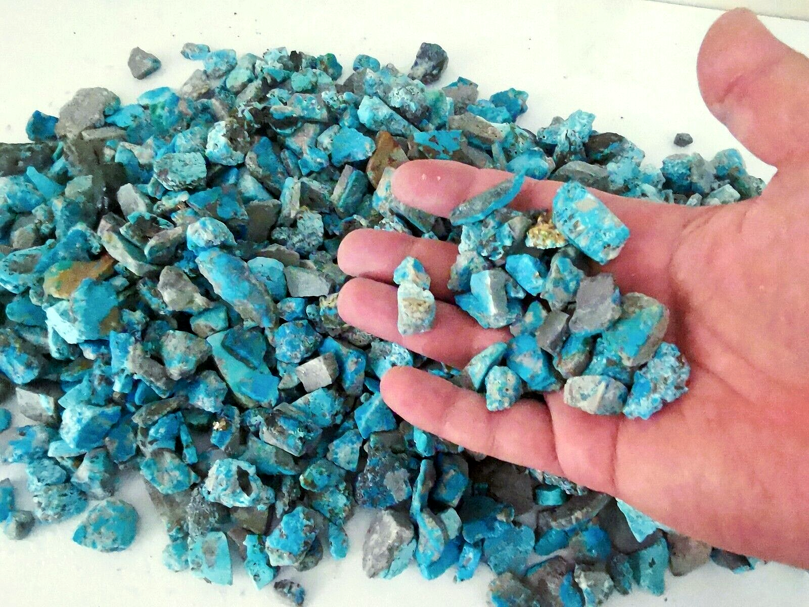 500 Carat Lots Natural Persian Turquoise & Pyrite Rough stone , No ...