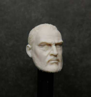 211 SEAN CONNERY THE ROCK BRITTISH SPY HERO custom HEADCAST for ACTION ...