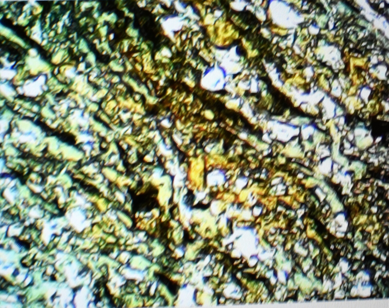 Gold Silver Quartz Ore 1800s Ore Knob Copper Mine North Carolina ...