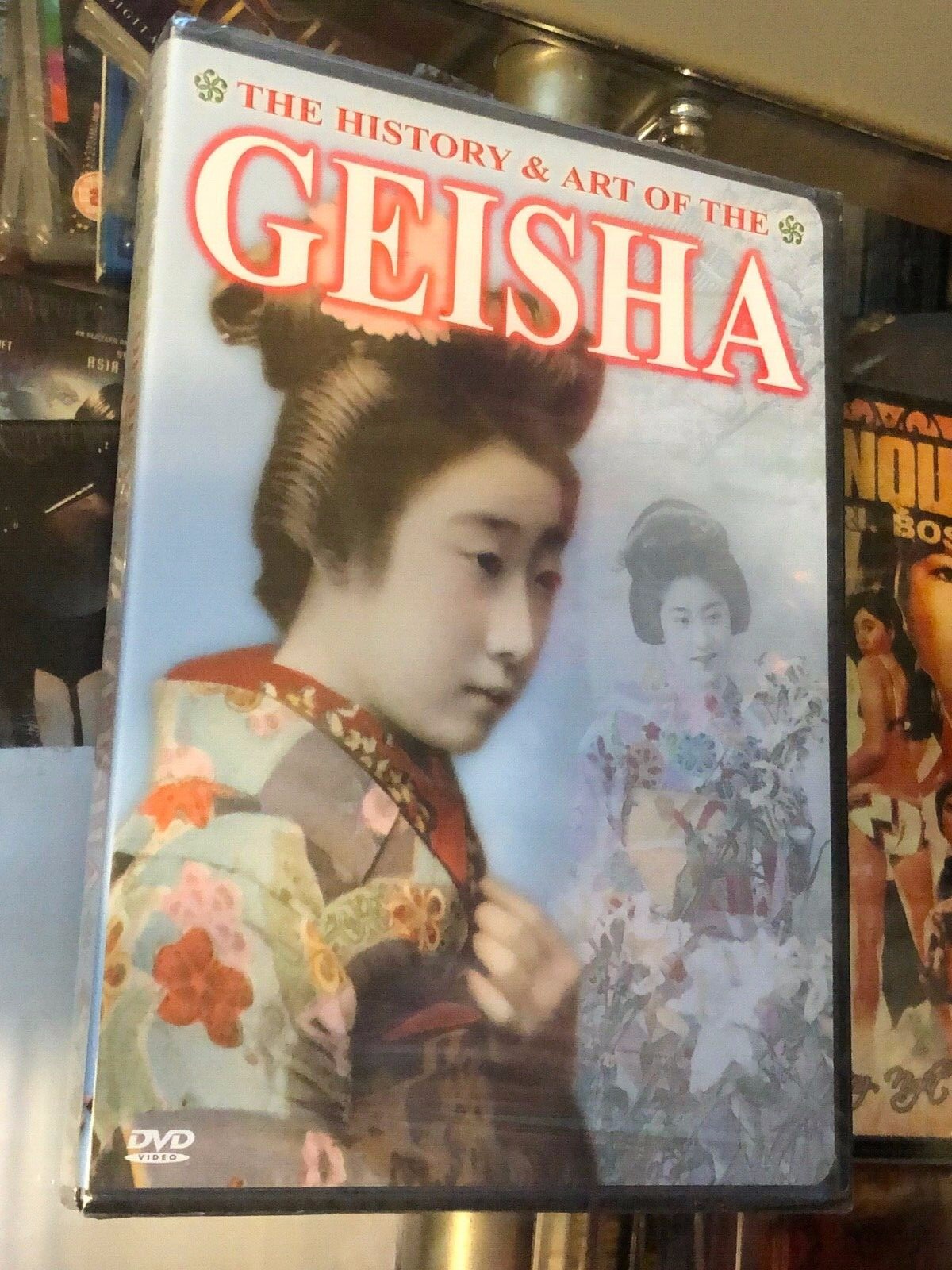 The History & Art Of The Geisha (DVD) Delta Entertainment DVD! BRAND ...