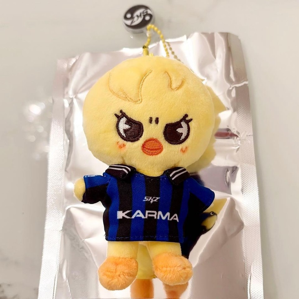 Stray Kids KARMA SKZOO VER Pogari NFC Charm Box SKZOO Keyring Plush Set ...