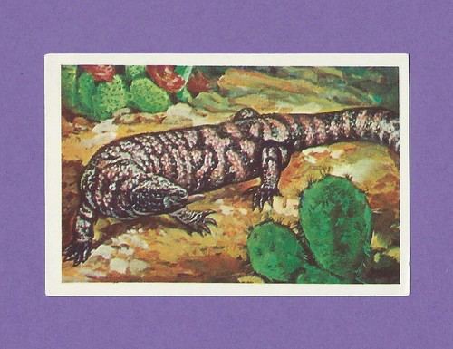 1971 Swedish Williams Vilda Vastern #321 The Gila Monster | eBay