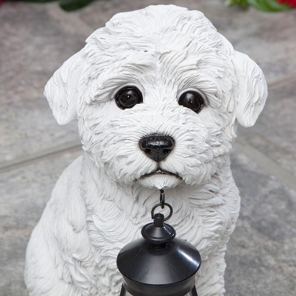 Realistic Bichon Dog Puppy Garden Sculpture Holding Solar LED Lighted ...