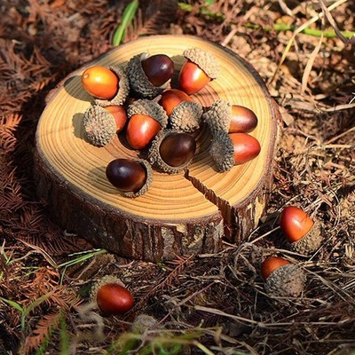 100 Pcs Mini Acorn Table Decor Artificial Acorns for Decoration Crafts ...