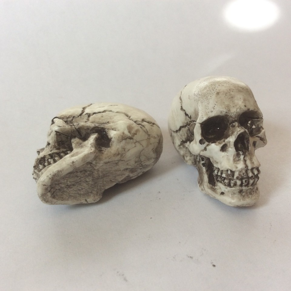 American Made 2 Skulls Skeleton head Goth Punk Human skull Harley ...