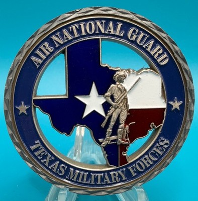USAF Texas Air National Guard State Command Chief VHTF Military ...