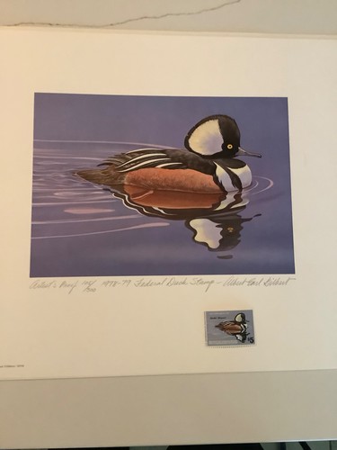 MINT IN FOLIO 1978 FEDERAL DUCK STAMP & PRINT AL GILBERT | eBay