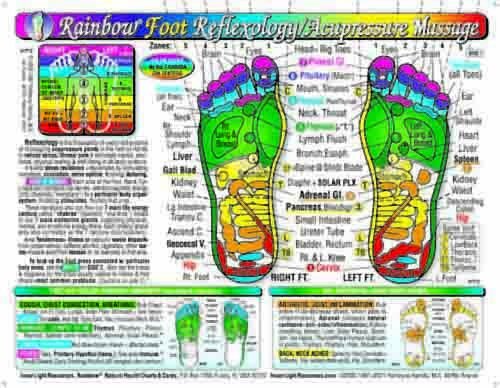 Kidney Acupressure Points Chart How Emotions And Organs Are Connected