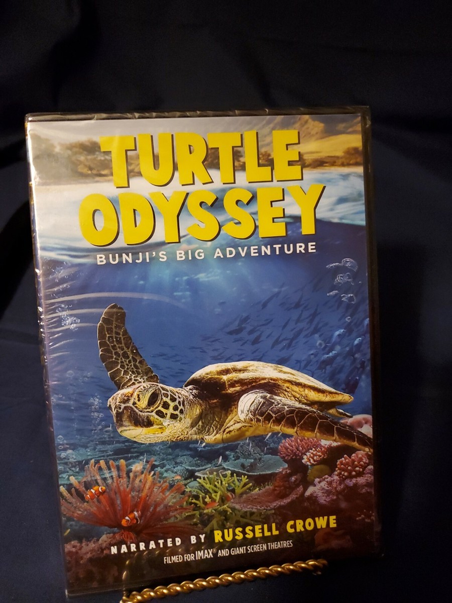 Turtle Odyssey