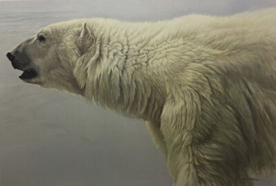Robert BATEMAN Polar Bear Profile Giclee Canvas Limited Edition art | eBay