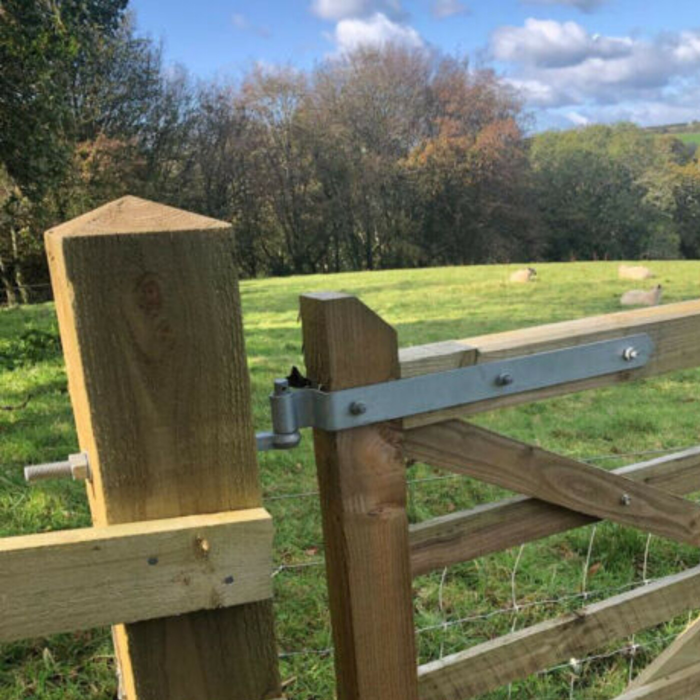 Heavy Duty Adjustable Field Gate Hinge Double Strap Set Fixings For ...