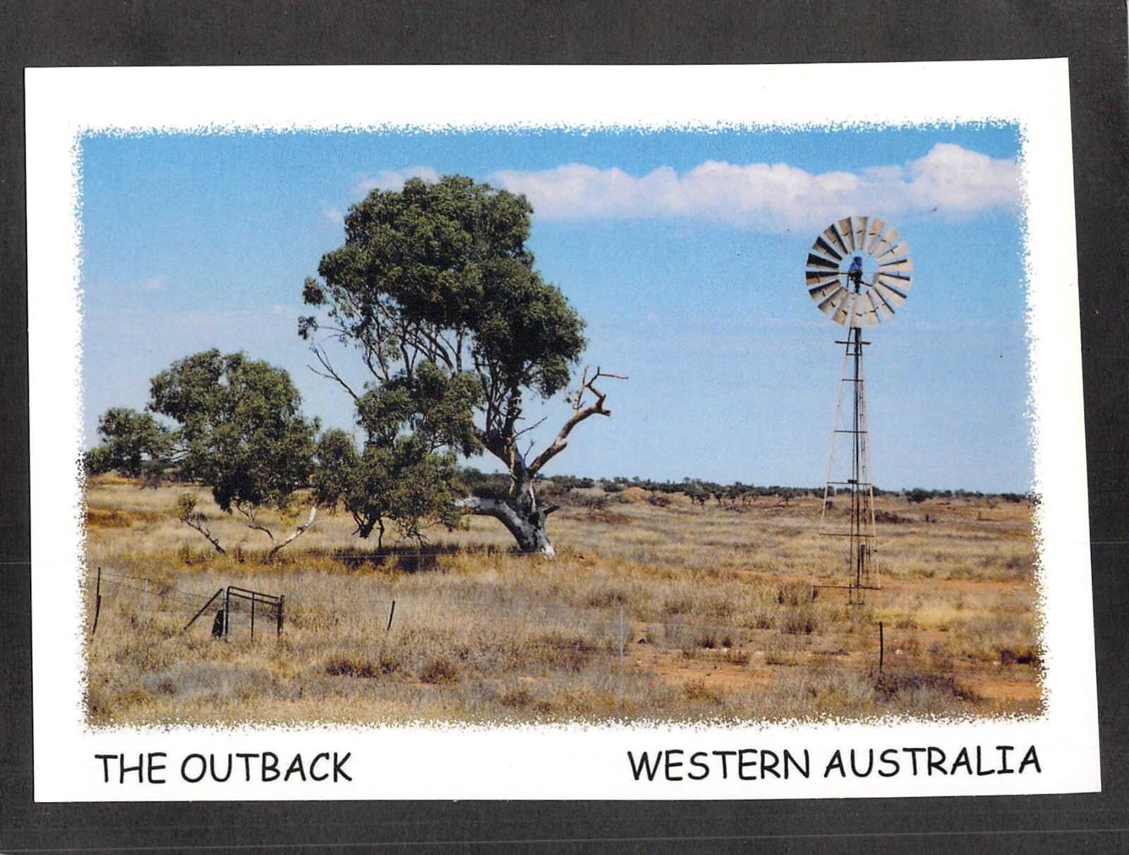 B8607 Australia WA The Outback Windmill postcard | eBay