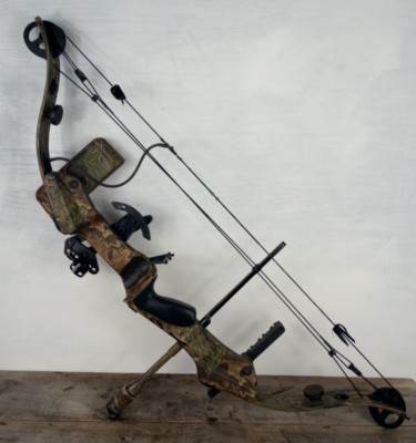 Golden Eagle Archery Compound Bow With Accessories | eBay