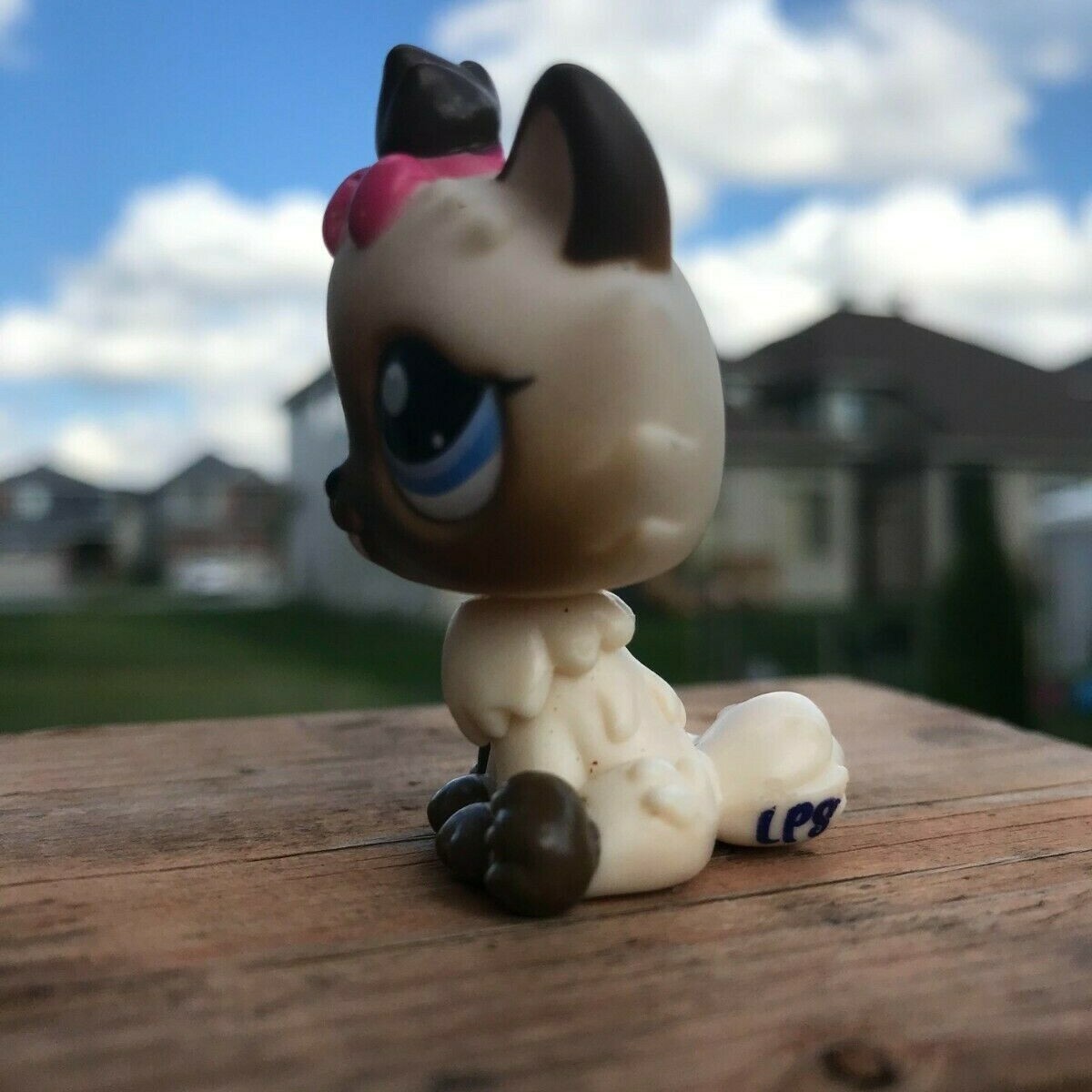 *RARE* Littlest Pet Shop Brazilian Variant Himalayan Cat 2143 Authentic ...