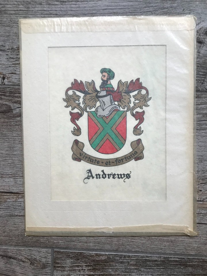 NEW Matted Coat of Arms Family Crest Heraldry Print (SEE! 260 Surnames ...