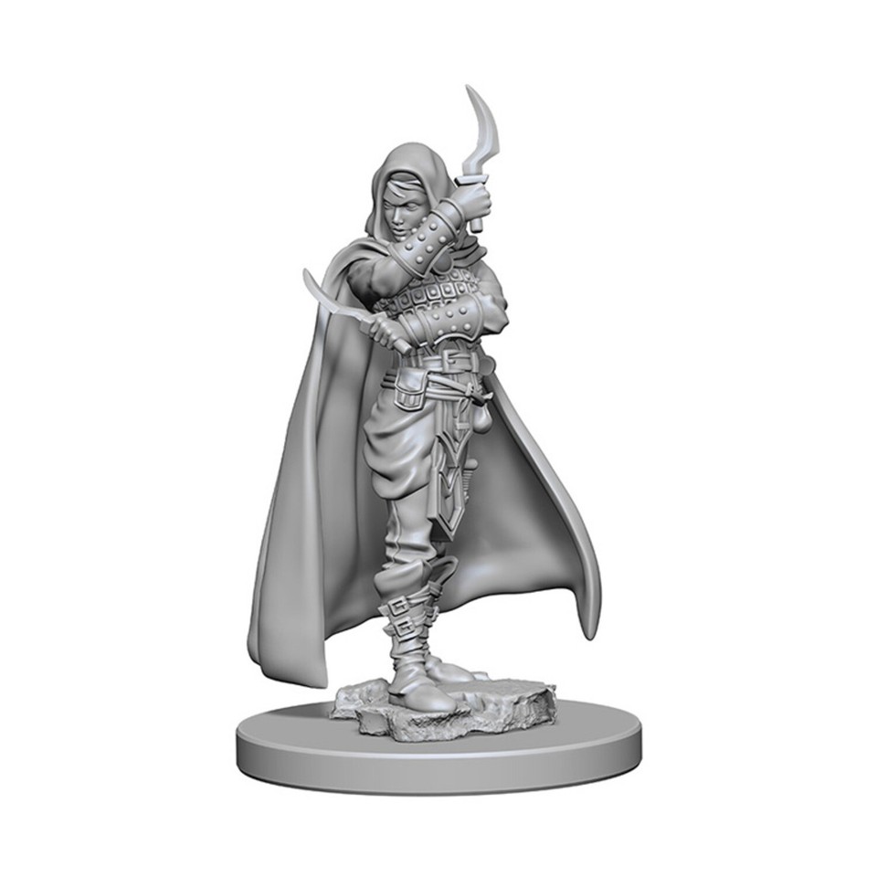 WizKids Pathfinder Mini 28mm Human Female Rogue #1 Pack New | eBay