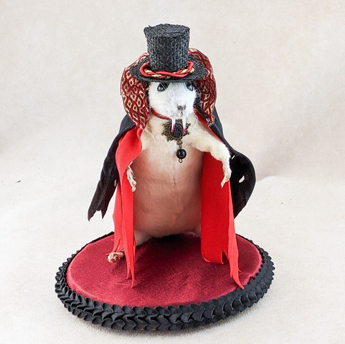 Rat Vampire Dracula Mount Display Collectible Anthropomorphic Halloween ...