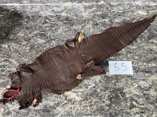 Brown Genuine Caiman Crocodile Hide Leather Skin real alligator Croc ...