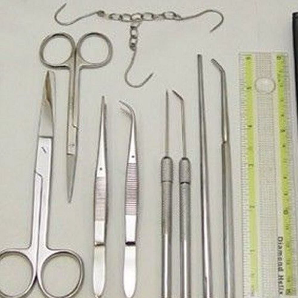 Student Dissecting Instrument Kit Stainless Steel German Grade | eBay