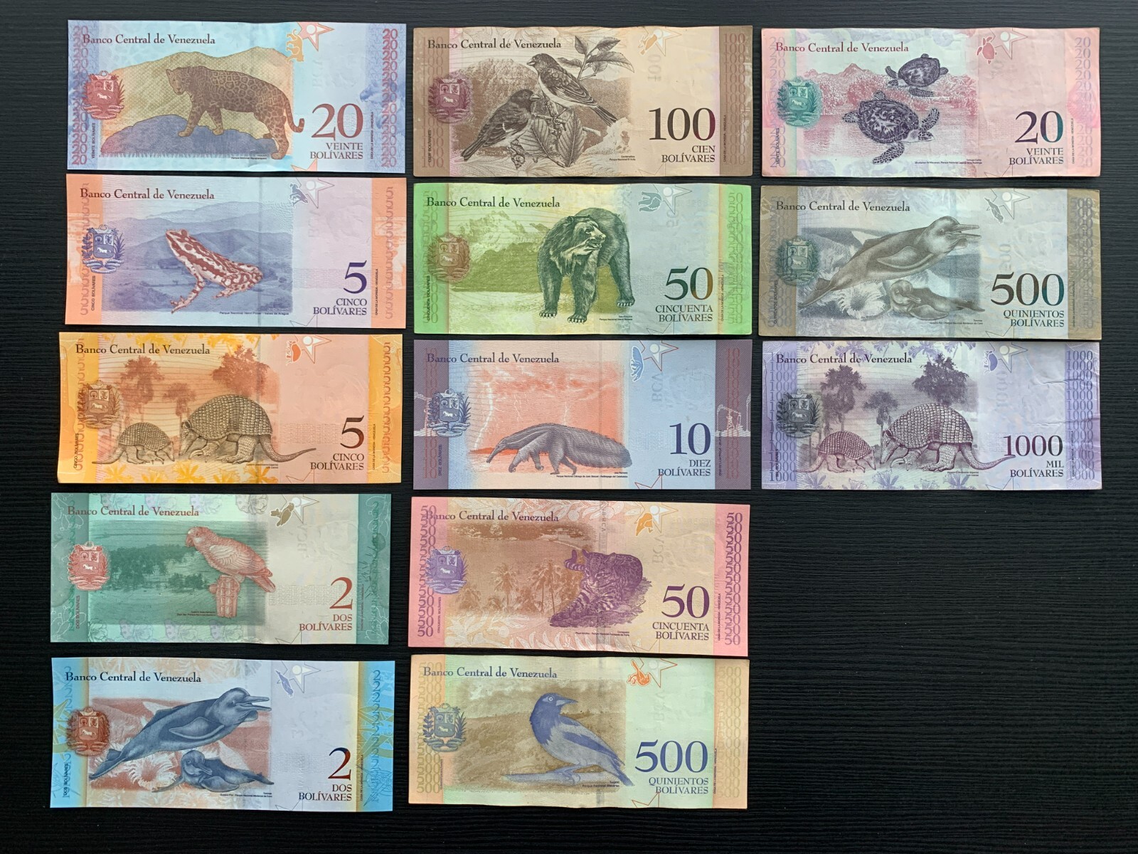 13 PCS Venezuelan Animal Banknotes Lot. Venezuela Paper Money Currency ...