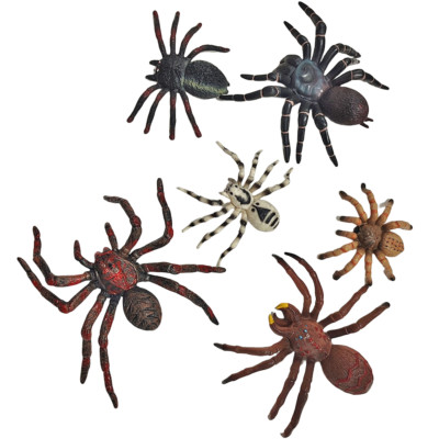 6xRealistic Simulation Spider Model Figure Animal Decor Ornaments Kids ...