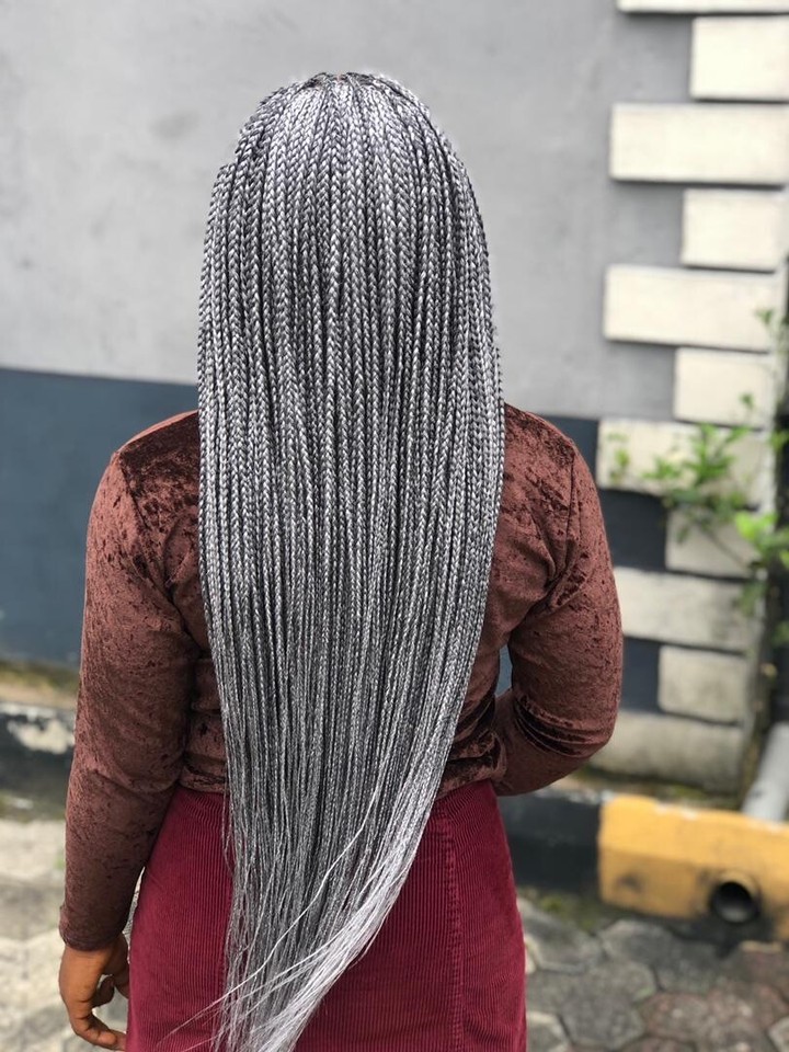 Knotless Braided Gray Wig. Length Is 28”long. Pls Wear A Nude Wig Cap ...