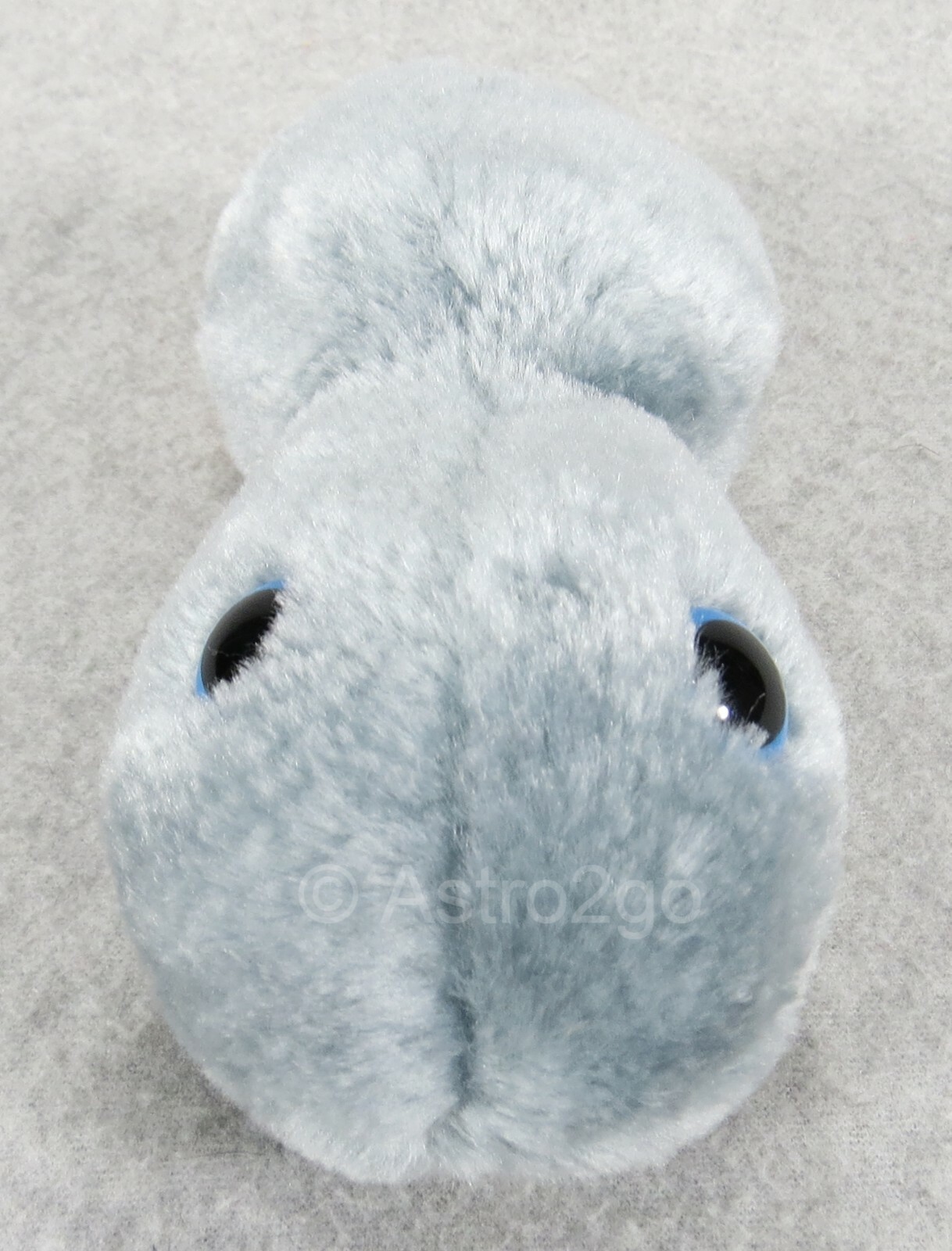 GIANT MICROBES-THE CLAP-Stuffed Plush Gonorrhea STD VD Virus Venereal ...