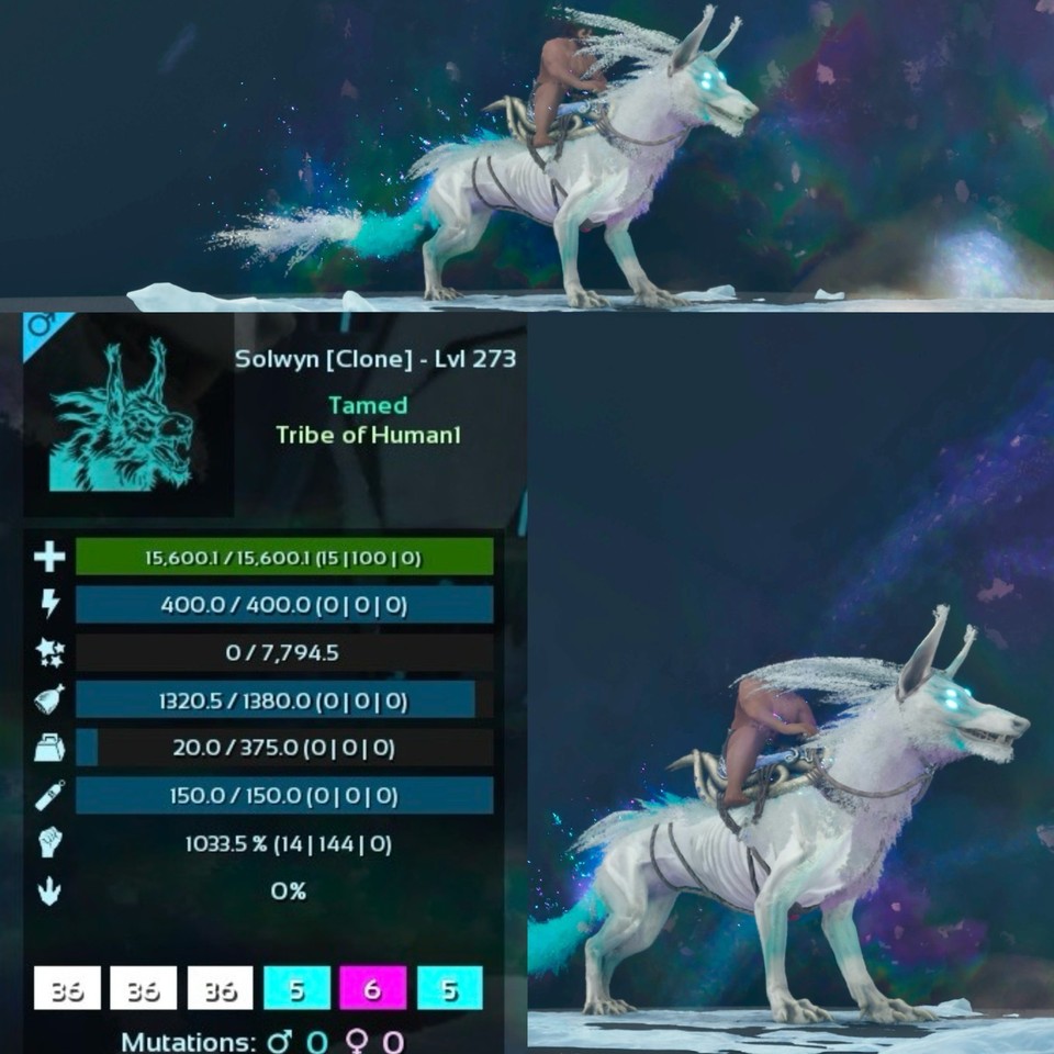 Malwyn Solwyn Max Stats Color Pair ARK🦕 Survival Ascended ASA PVE PC/XBOX/PS | eBay