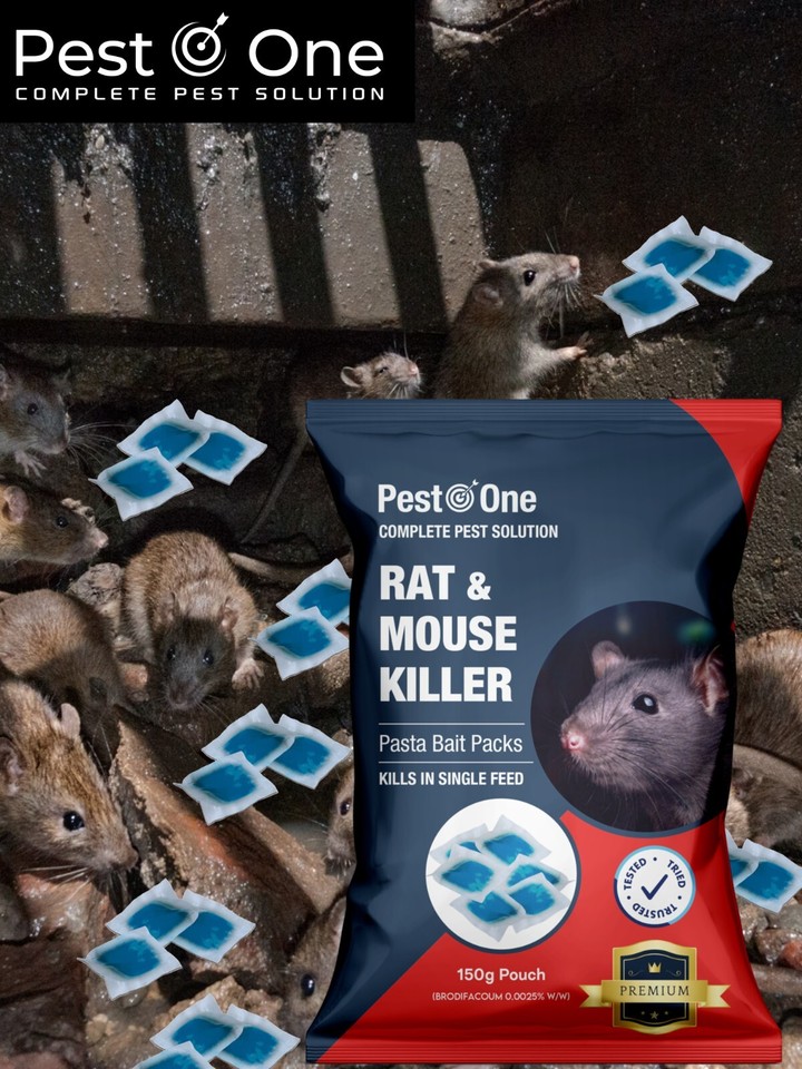 15 x 10g Ultra Strong Strength Mouse Rat Rodent Poison Blocks Bait ...