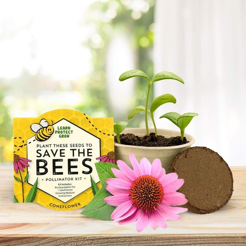Buzzy Seeds Save The Bees Biodegradable Grow Kit | Herb, Plant, Asst ...