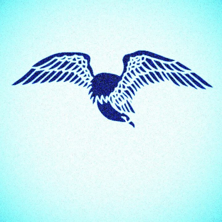 Flying Eagle Stencil