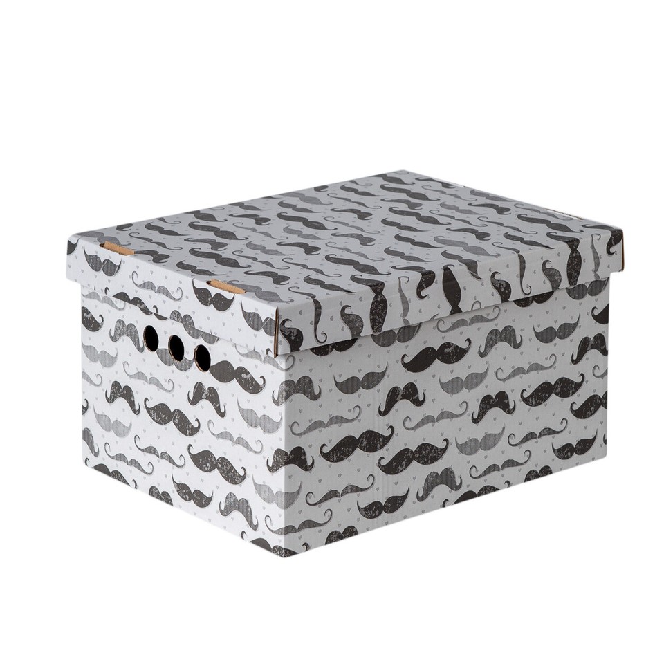 STYLISH 2pc Decorative Storage BOXES with Lid ARCHIVE A4 Box Cardboard ...