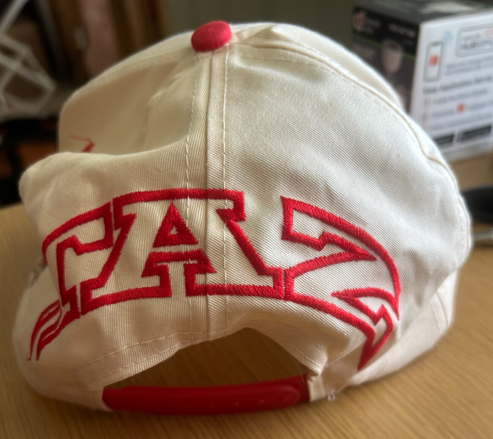 Vintage 1993 Taz Baseball Hat,Embroidered, Snap back,Cap, Red&Tan ...